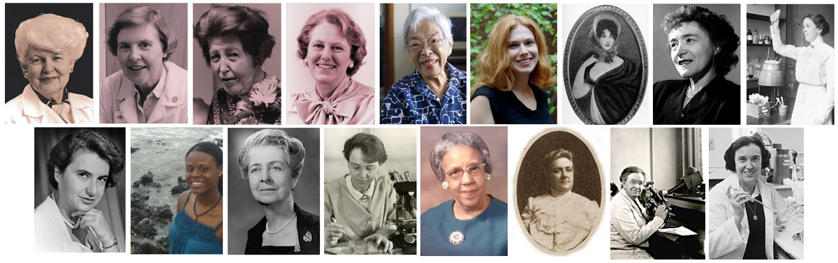 Women’s History Month | Inclusion, Diversity, Equity, Allyship & Social ...